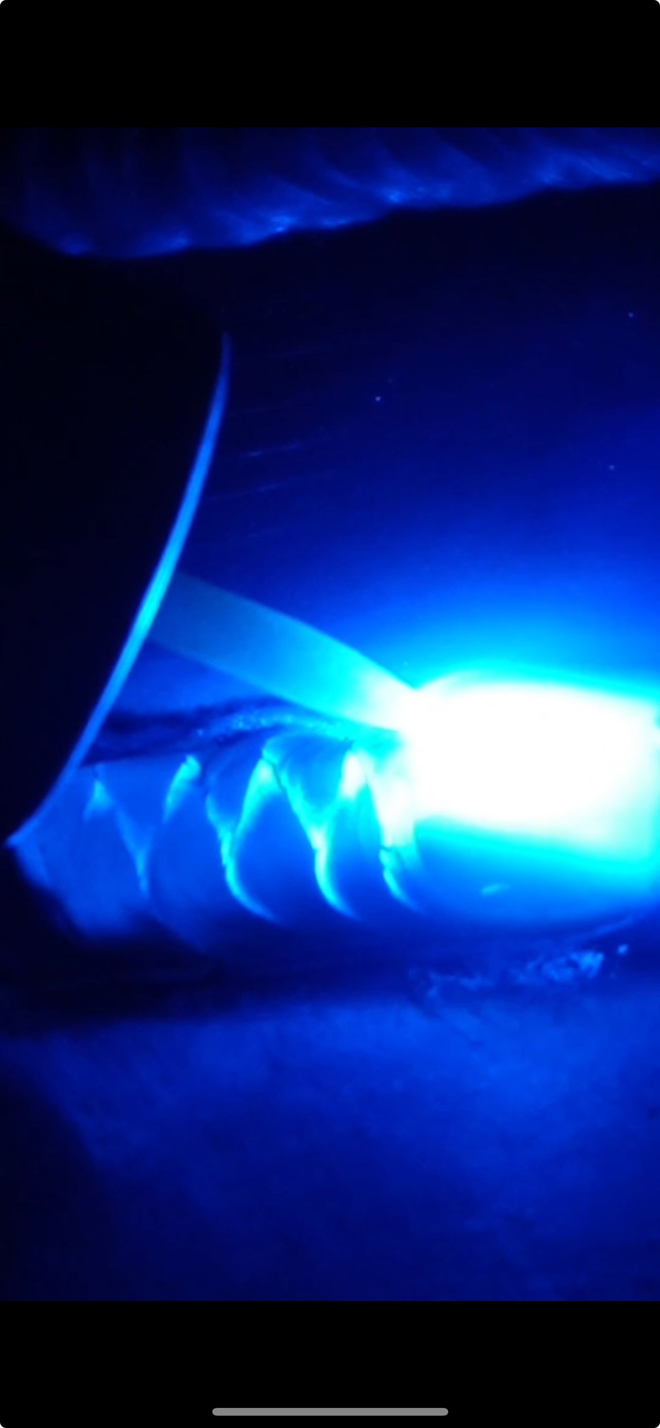 Blue Welding Lens | Rod Shield